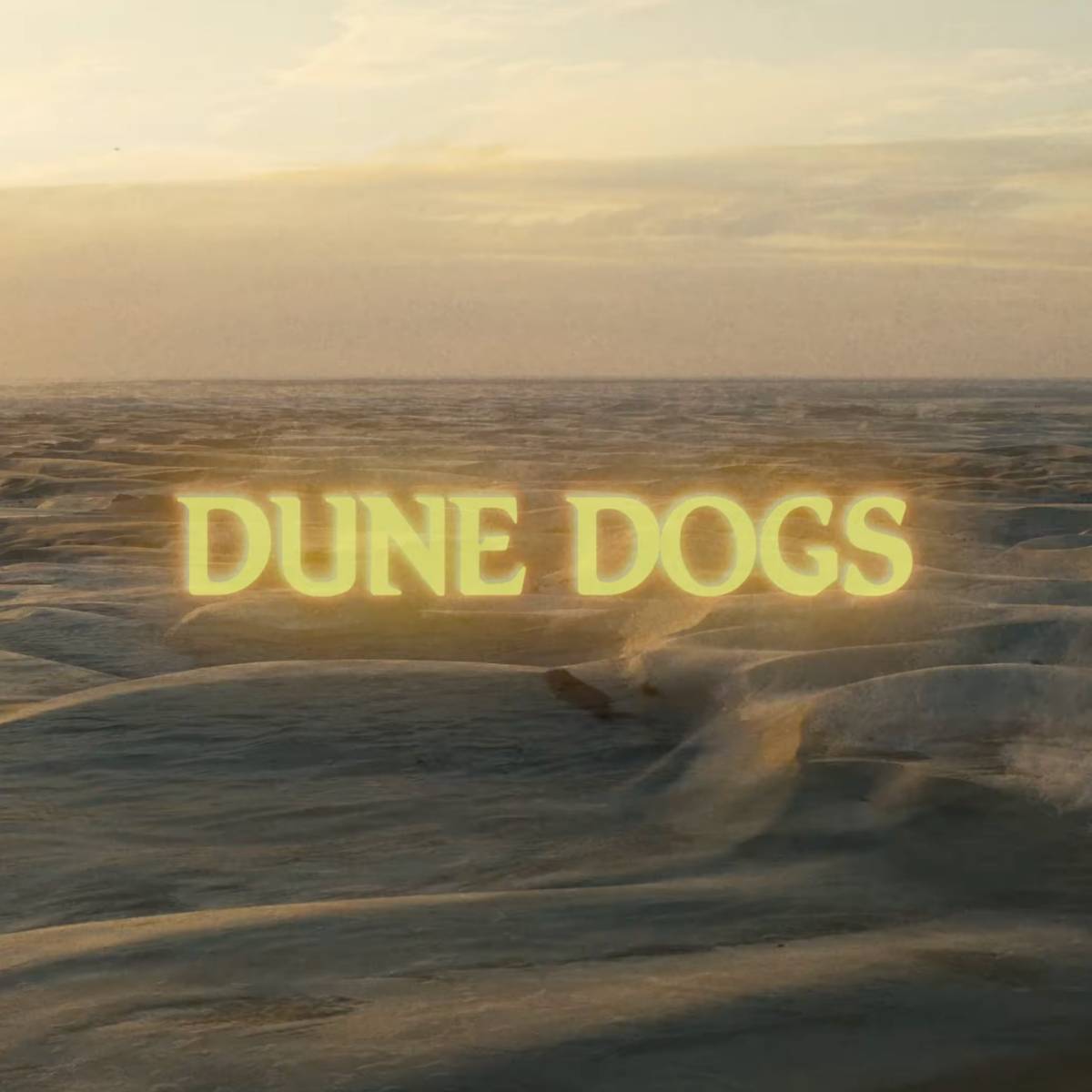 Now Playling: Dune Dogs – Rhythm